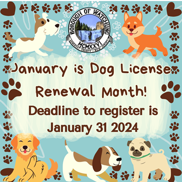 Watchung, NJ - Animal Control Services